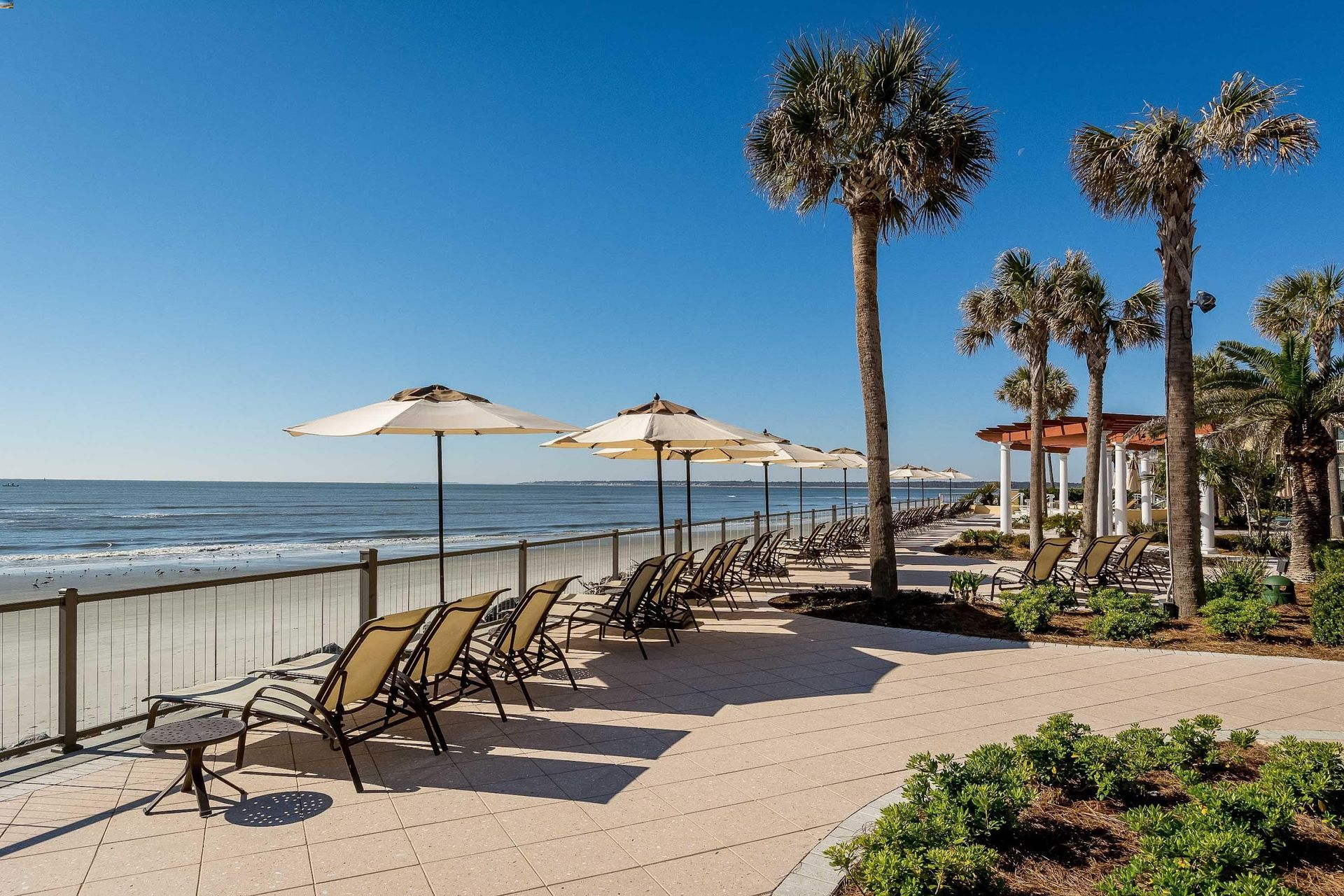 Discover St. Simons Island, GA: A Seasonal Guide to Spring and Summer ...